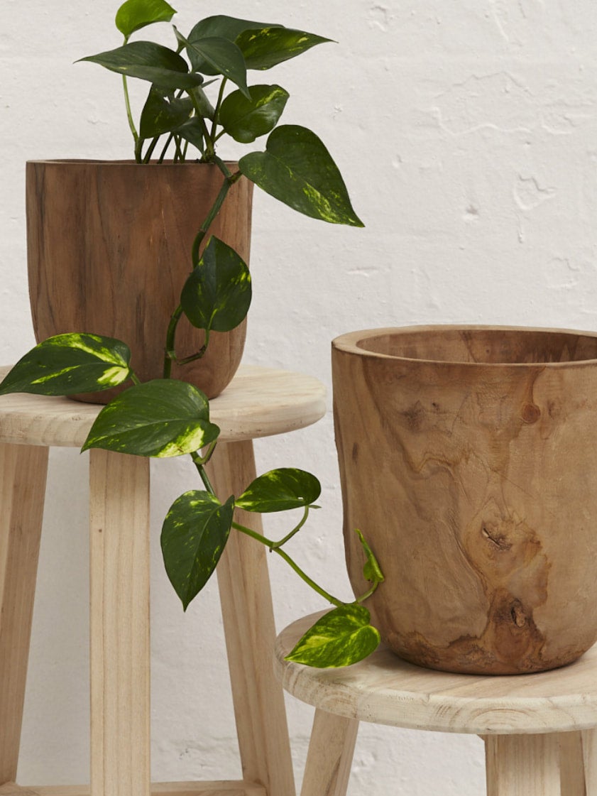 Iniko Tree Root Planter | The Corner Nook